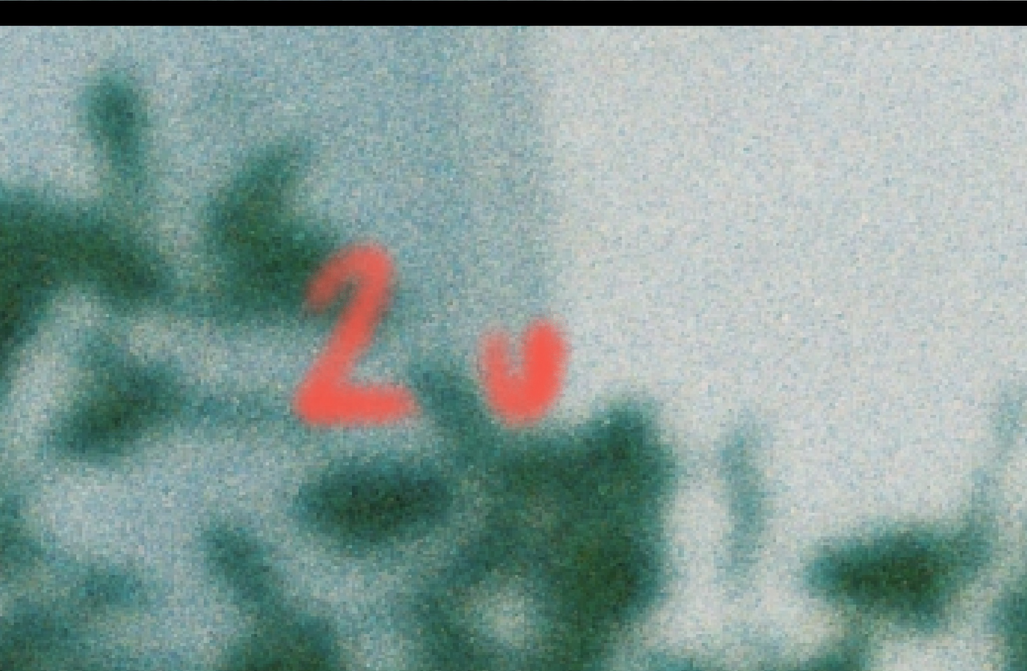 ANNA RAOH & EMIL URBANEK | Dorothea-Konwiarz-Stiftung